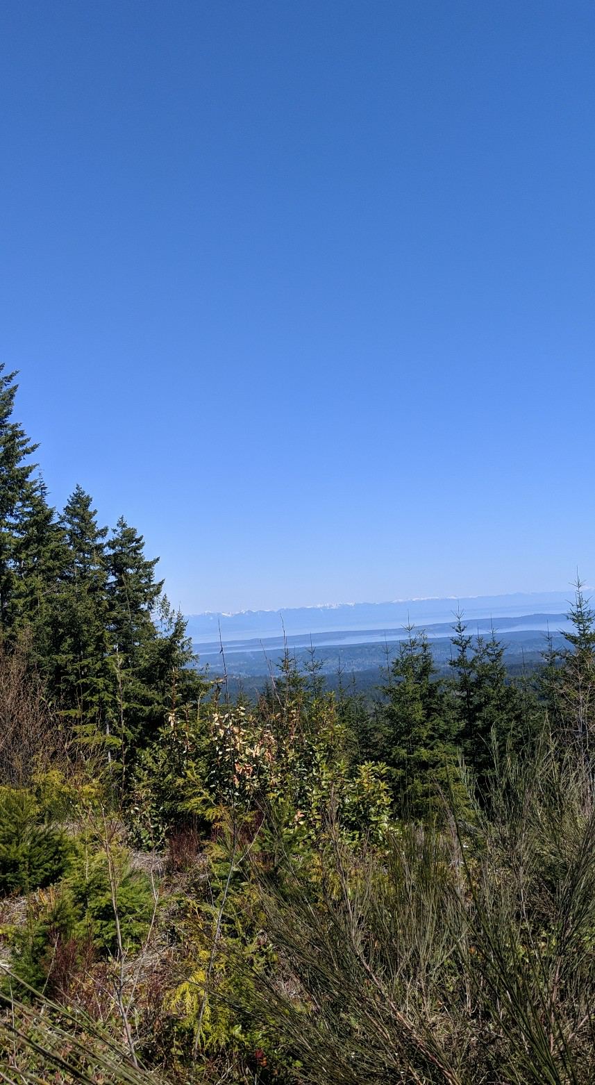 Wheelin | Vancouver Island Off Road