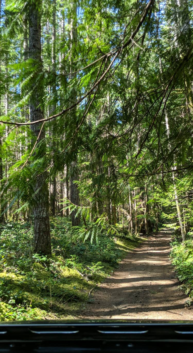 Wheelin | Vancouver Island Off Road