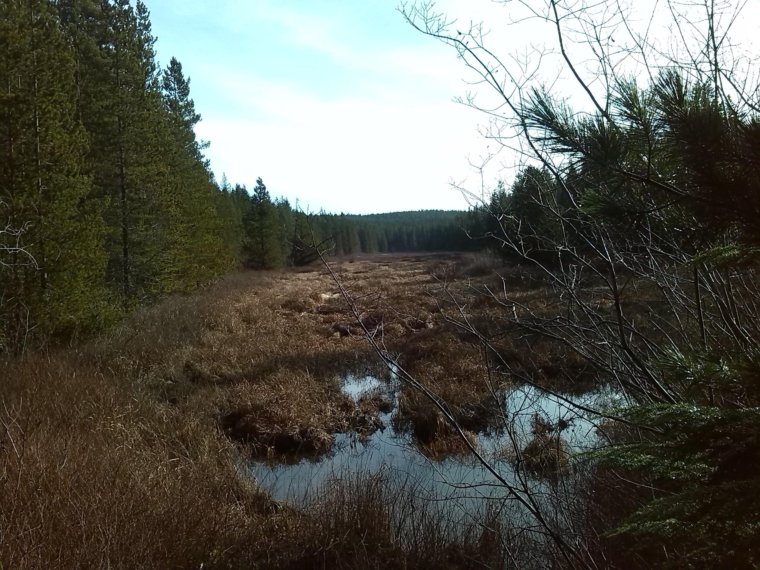 hey hey hey! lets play! all 4x4s welcome! lucid lake the maze way ...