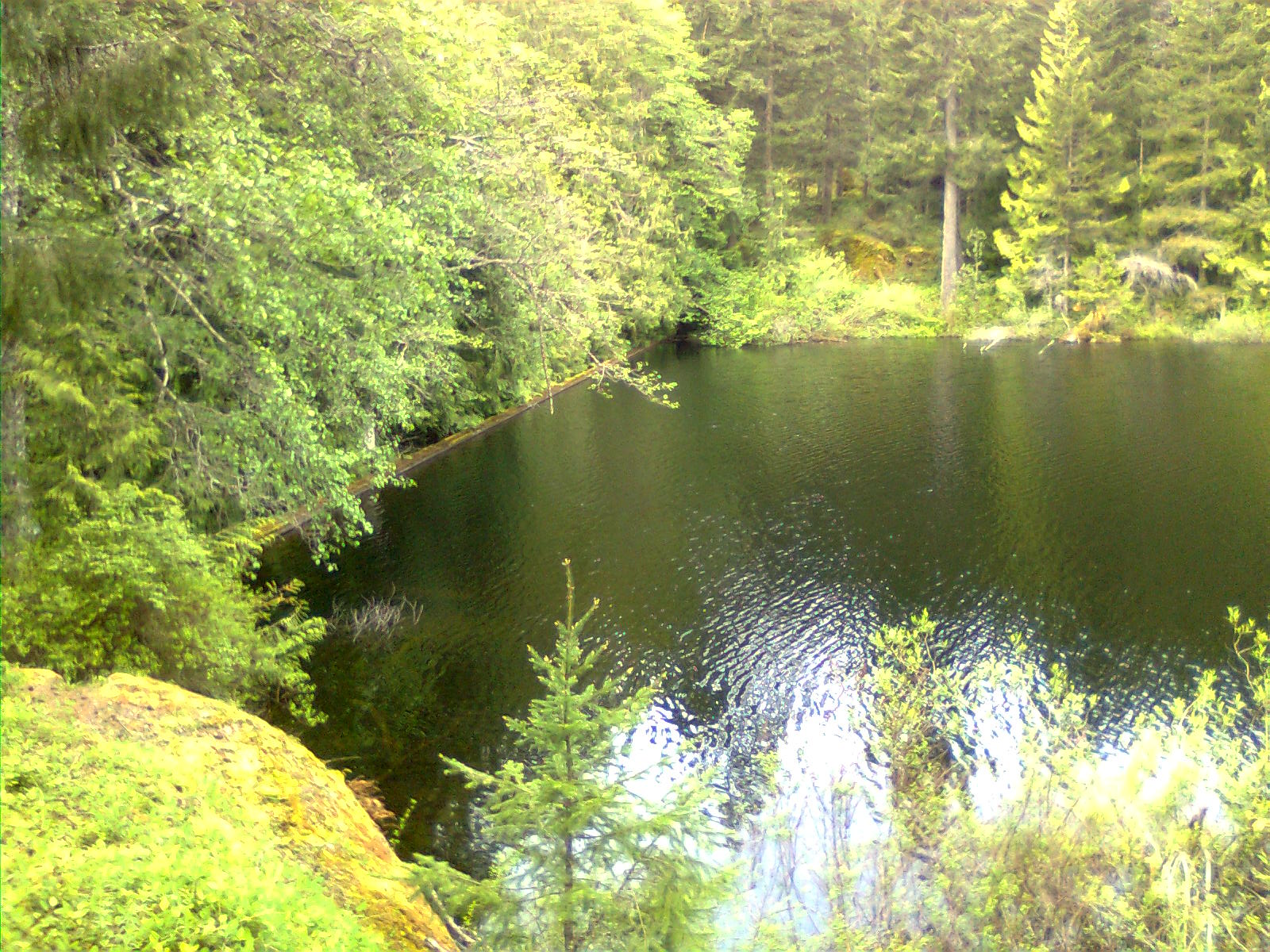 malahat, oliphant lake. may long weekends guys n mudders | Vancouver ...