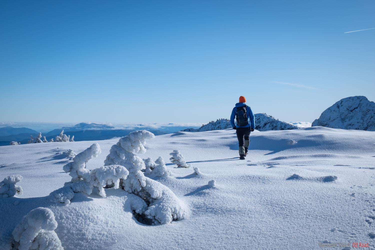 Mt Arrowsmith / Mt Cokely | Vancouver Island Off Road